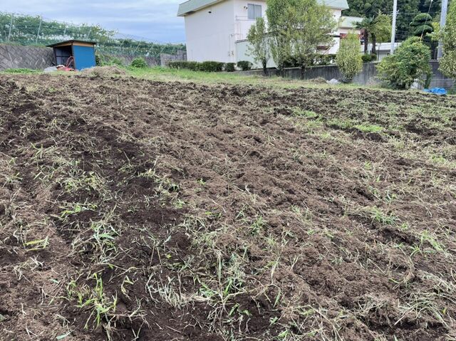 Waseda Maroon Farm by TAO Tokorozawa Project Vol.483： : 早稲田大学社会医学研究室