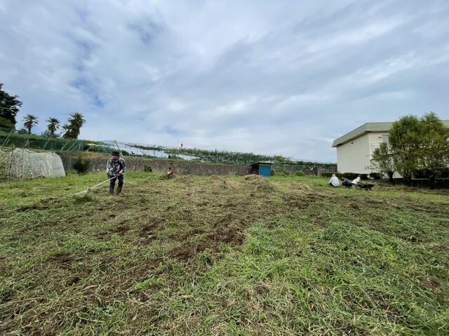 Waseda Maroon Farm by TAO Tokorozawa Project Vol.483： : 早稲田大学社会医学研究室