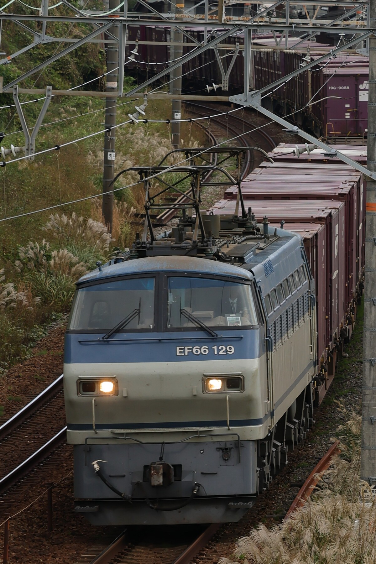 EF66－100（貨） : ohanefu blog ～snap photo～