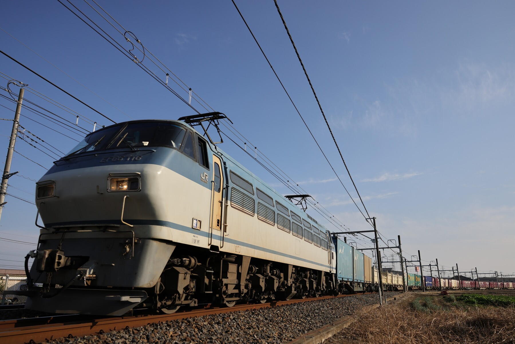 EF66－100（貨） : ohanefu blog ～snap photo～