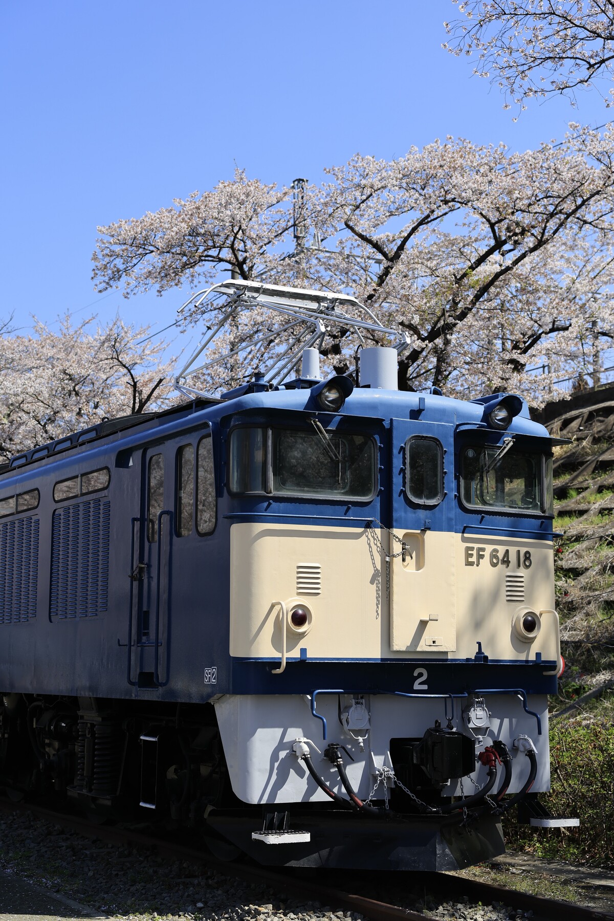 桜満開！勝沼ぶどう郷駅前公園 EF64 18も伏線回収！ : ohanefu blog ～snap photo～