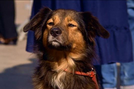 オトナも楽しむアニメ : For James Bond 007 Lovers Only