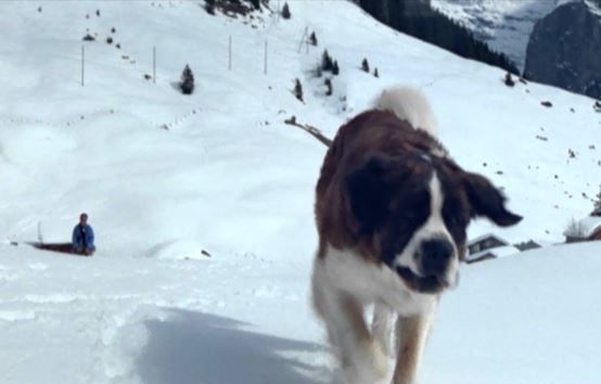 『ペット』公開記念で007シリーズに登場したワンちゃんたちをまとめてみた : For James Bond 007 Lovers Only