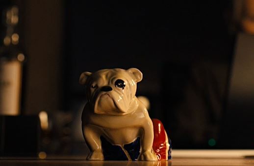 『ペット』公開記念で007シリーズに登場したワンちゃんたちをまとめてみた : For James Bond 007 Lovers Only