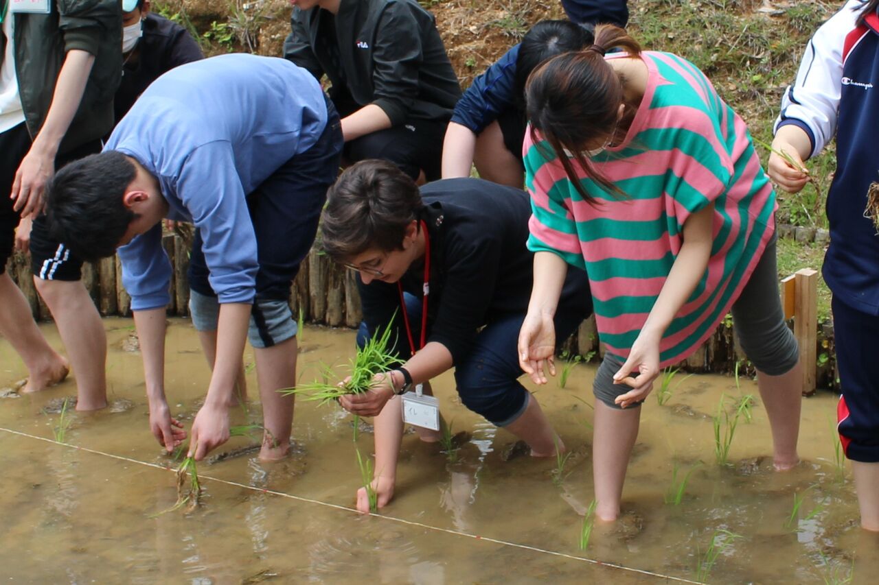 Rice relay padding : Ohzora club blog