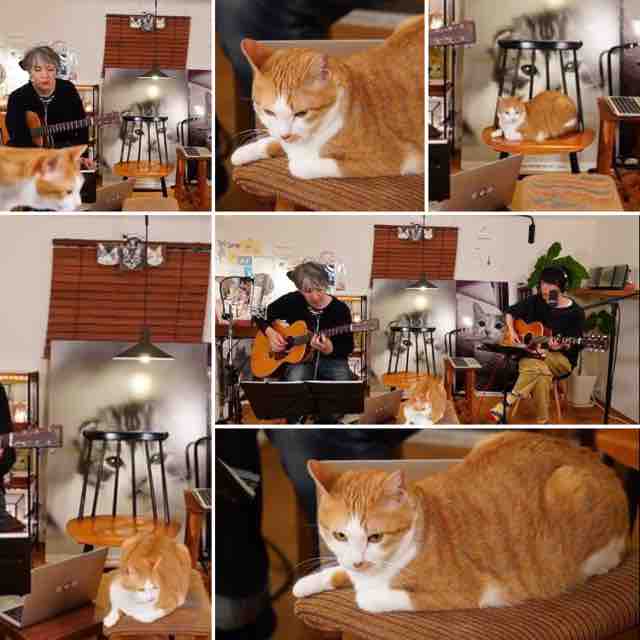 ＊気まぐれ写真日記＊:おうちでtoi toi toi チャリティーオンラインLIVE