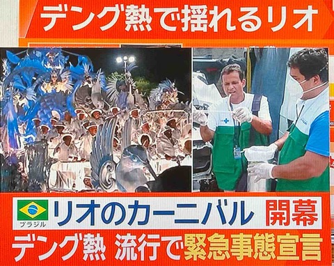 重要 リオのカーニバル最高潮に(デング熱 拡大) ブラジル、豪華なパレード/ ブラジル リオデジャネイロ、デング熱で緊急事態宣言 カーニバル控え感染者急増 : つれづれなるままの岡山駅 ...