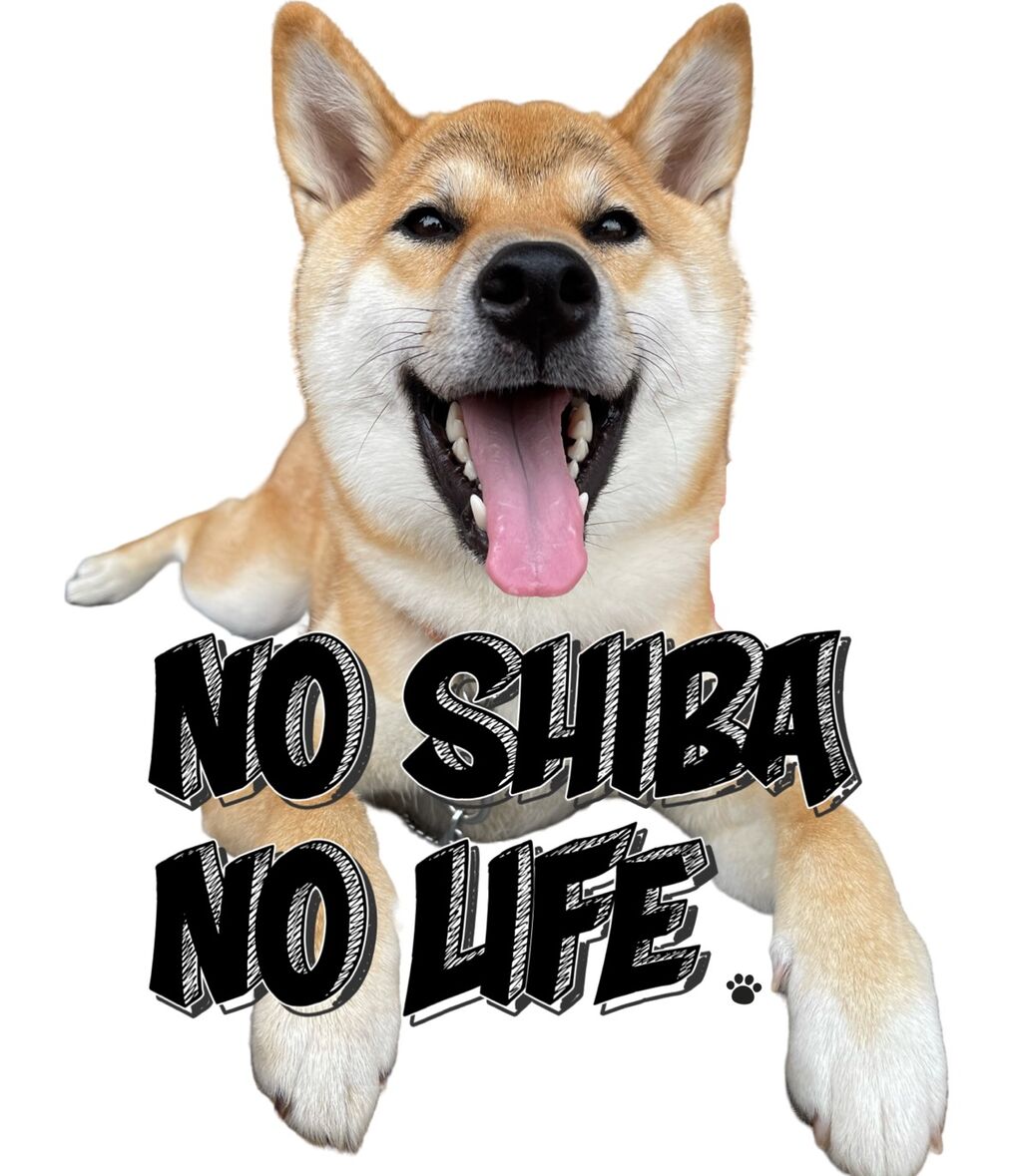 社長☆ブログ「社長のつぶやき」 桶市ハウジング : 柴生、お店へ。