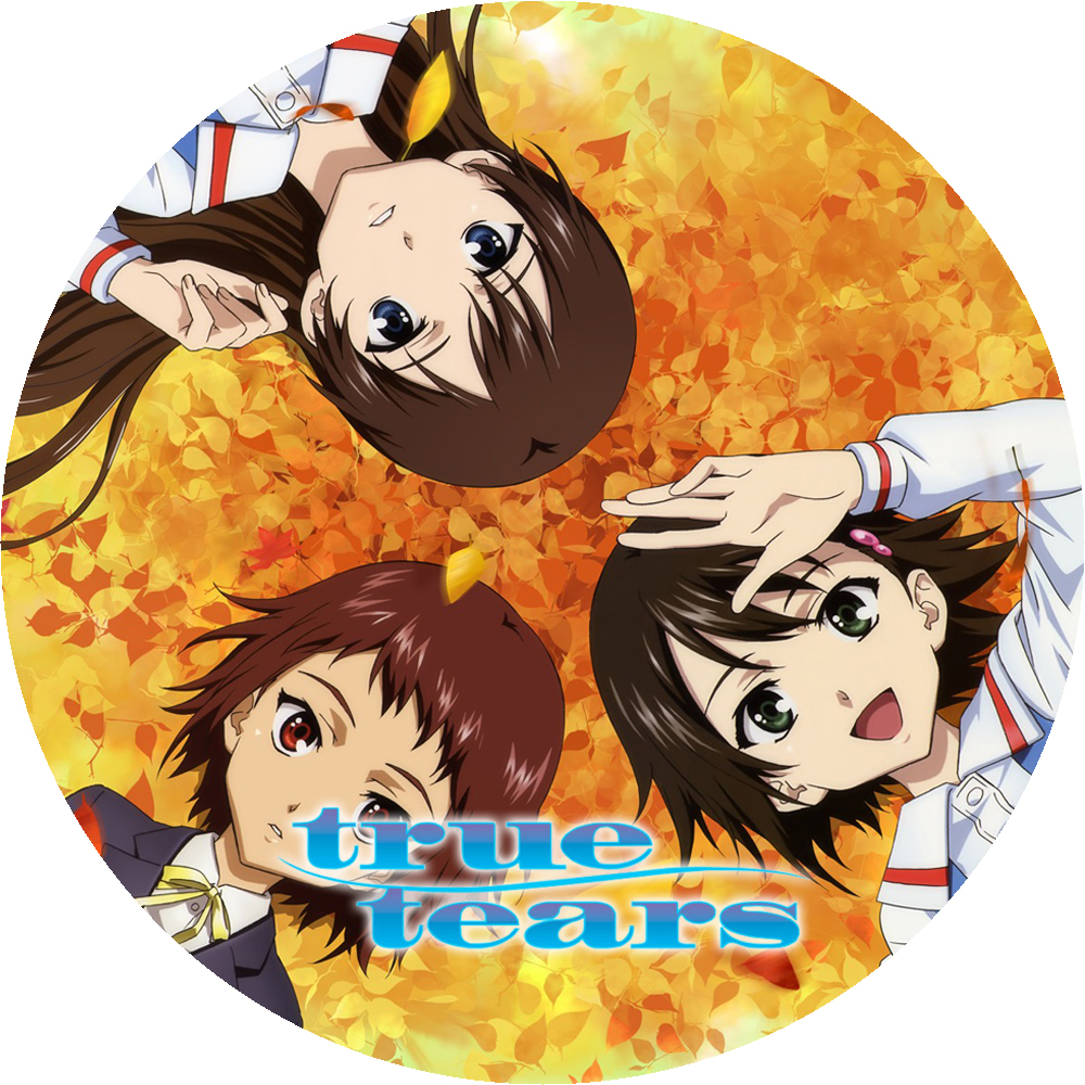 NRKスタヂヲ DVDラベル ライブドア出張所:true tears (3枚)