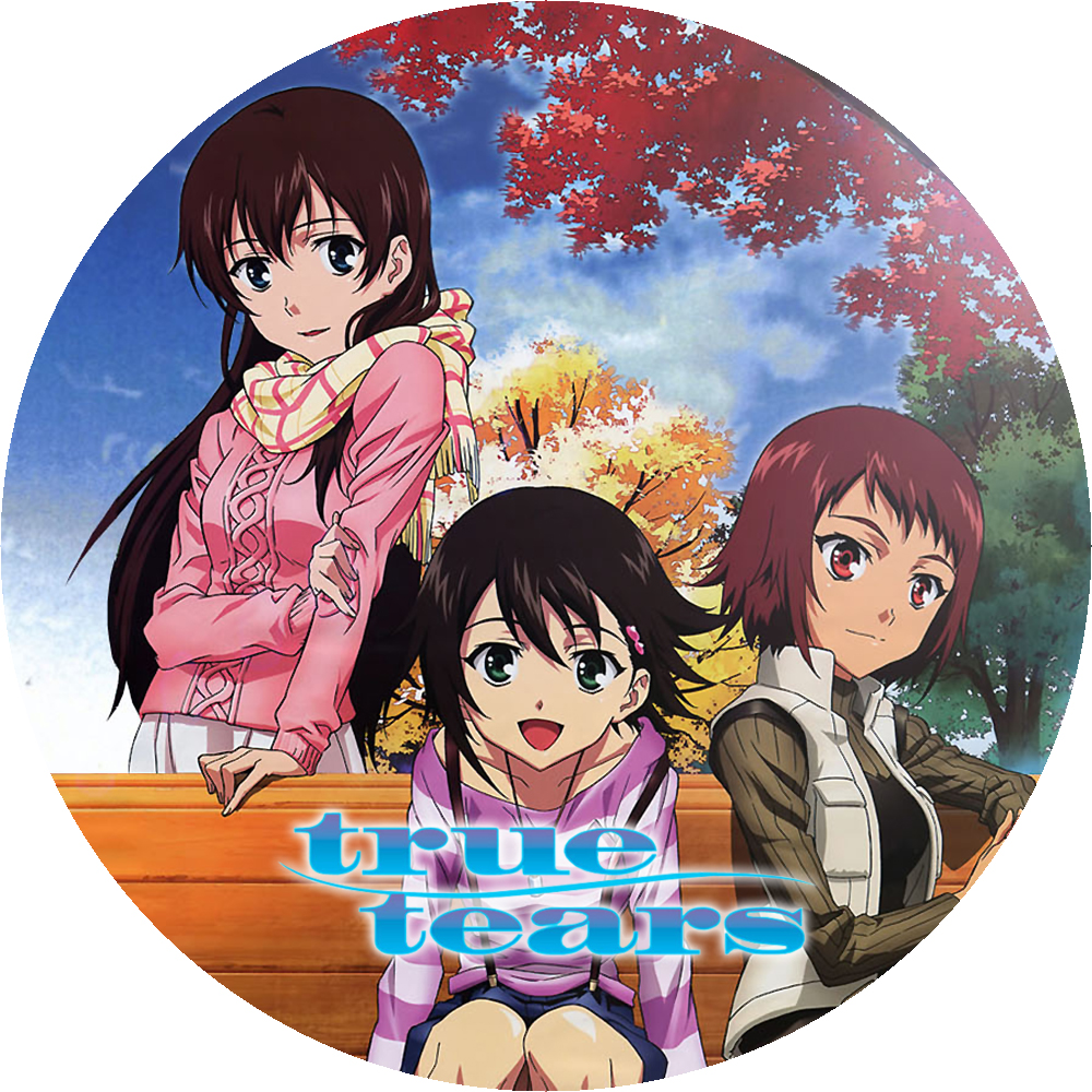 NRKスタヂヲ DVDラベル ライブドア出張所:true tears (3枚)