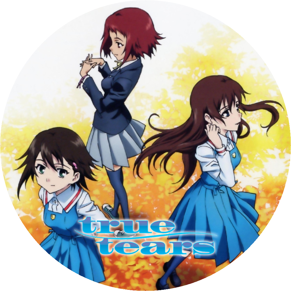 NRKスタヂヲ DVDラベル ライブドア出張所:true tears (3枚)