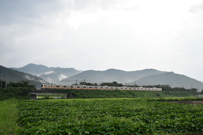 ona3のきままに撮り鉄 : 8月15日撮影 E233系 トタ青662編成による諏訪湖花火臨より