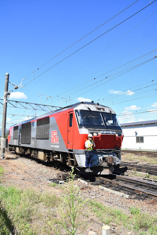 ona3のきままに撮り鉄 : 8月10日撮影 五稜郭にて その6 DF200－62号機の機回しより