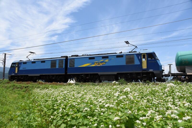 ona3のきままに撮り鉄 : 本日撮影 西線貨物8084ﾚより