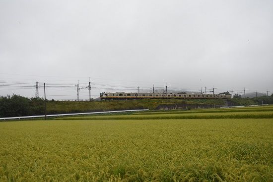 ona3のきままに撮り鉄 : 9月1日撮影 諏訪湖新作花火臨応援 E233系中原車