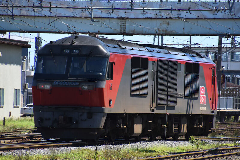 ona3のきままに撮り鉄 : 8月10日撮影 五稜郭にて その3 DF200出区とDF200が牽く3067ﾚより