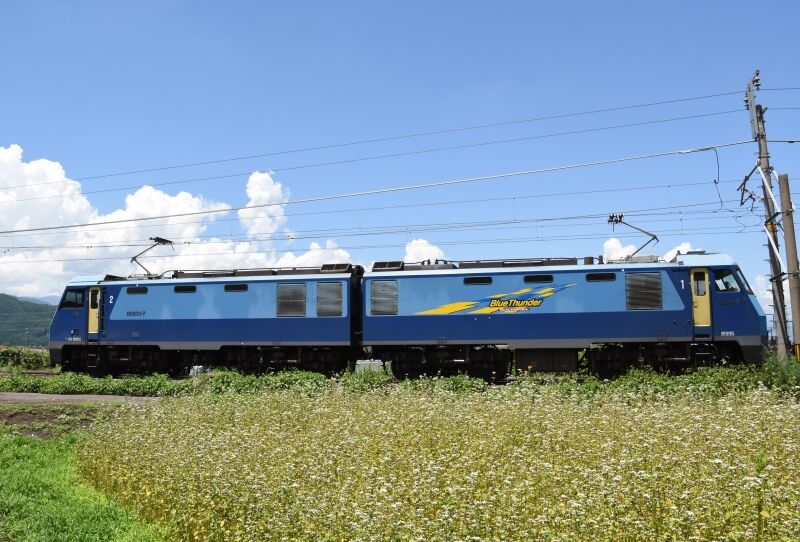 ona3のきままに撮り鉄 : 7月26日撮影 西線貨物8084ﾚより