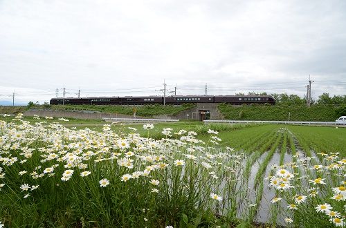 ona3のきままに撮り鉄 : 本日の撮影 E655系「和」