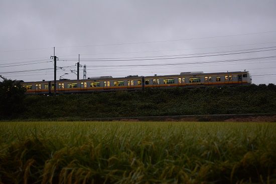 ona3のきままに撮り鉄 : 9月1日撮影 諏訪湖新作花火臨応援 E233系中原車