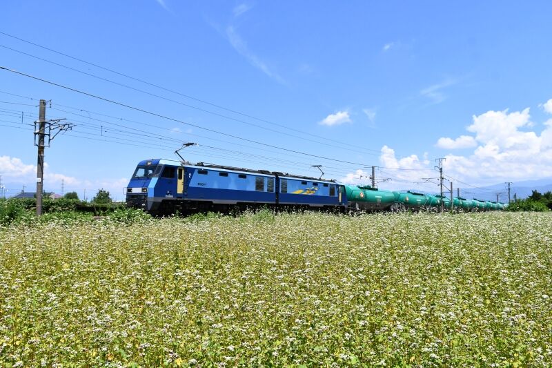 ona3のきままに撮り鉄 : 7月26日撮影 西線貨物8084ﾚより