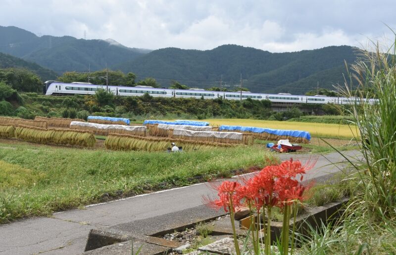 ona3のきままに撮り鉄 : 9月14日撮影 211系と313系とあずさと曼殊沙華