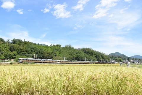 ona3のきままに撮り鉄 : 9月7日撮影 篠井線にて「TRAIN SUITE四季島」と「リゾートビューふるさと」