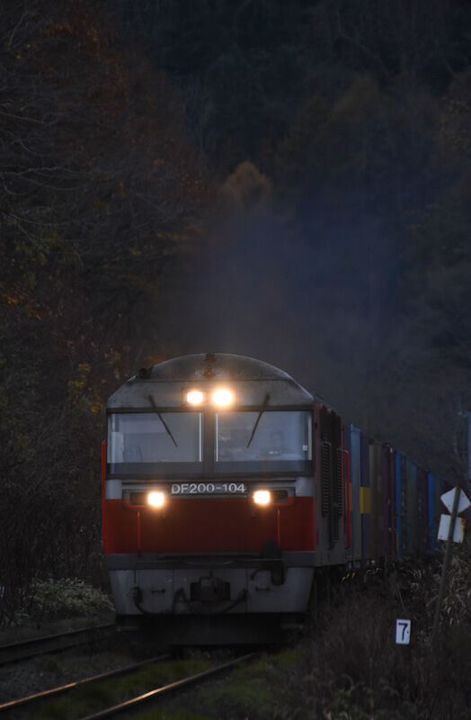 ona3のきままに撮り鉄 : 11月6日撮影 北海道撮影記 大沼にて DF200とキハ40を撮影 その3