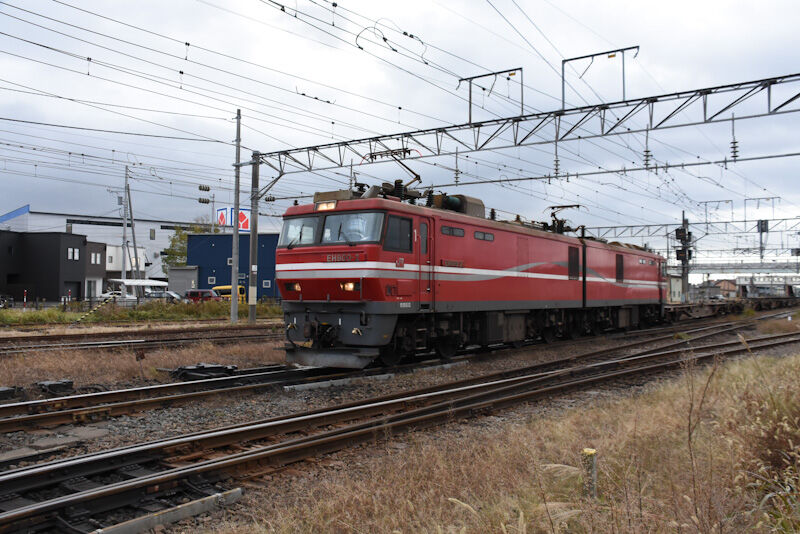 ona3のきままに撮り鉄 : 11月4日撮影 北海道撮影記 五稜郭にて その1
