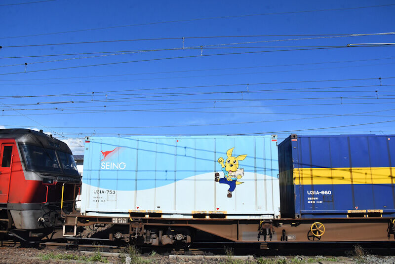 ona3のきままに撮り鉄 : 8月10日撮影 五稜郭にて その9 3051ﾚ DF200－53号機が牽くコンテナ貨物