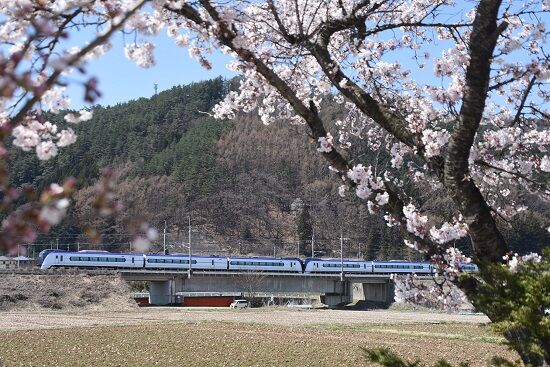 ona3のきままに撮り鉄 : 4月11日撮影 桜の中を行くE353系「あずさ」より