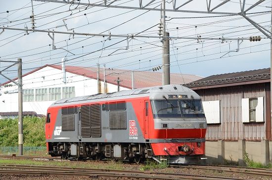 ona3のきままに撮り鉄 : 8月10日撮影 五稜郭にて その7 DF200-901