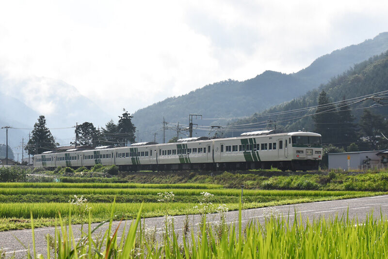 ona3のきままに撮り鉄 : 本日の撮影 団臨 夜行185系 長野行きより