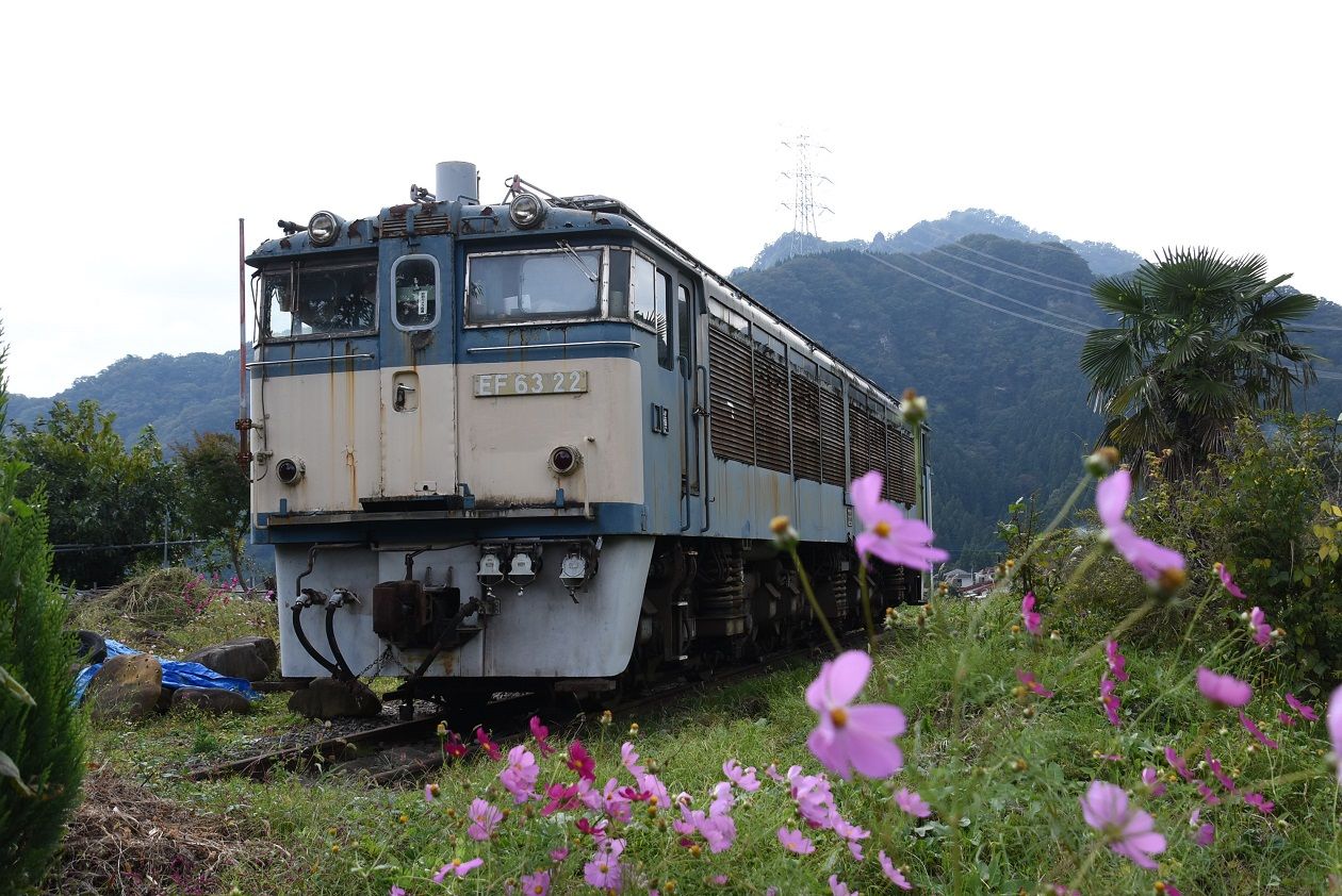 ona3のきままに撮り鉄 : 10月13日撮影 EF63-22号機