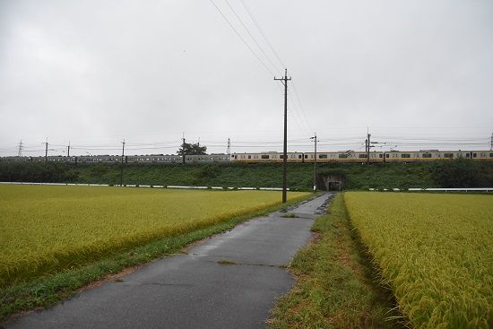 ona3のきままに撮り鉄 : 9月1日撮影 諏訪湖新作花火臨応援 E233系中原車