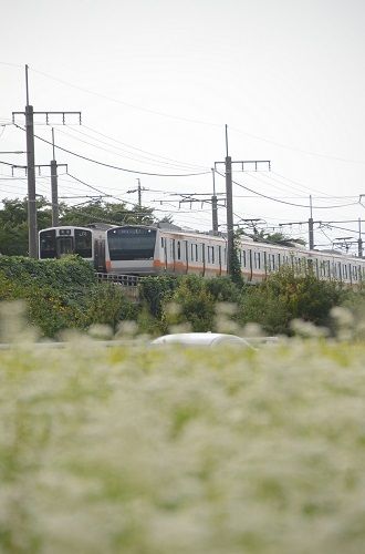 ona3のきままに撮り鉄 : 9月5日撮影 諏訪湖新作花火臨 その2 E233