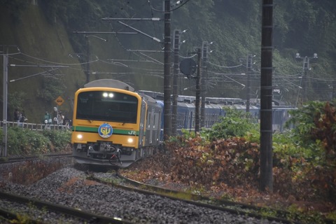 ona3のきままに撮り鉄 : 本日撮影 「GV・SLぐんま横川」 EF64-1031号機の代走より