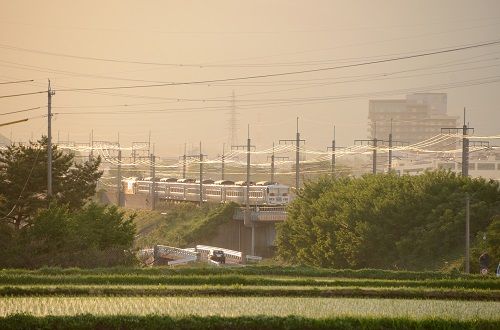 ona3のきままに撮り鉄 : 本日撮影 185系廃回