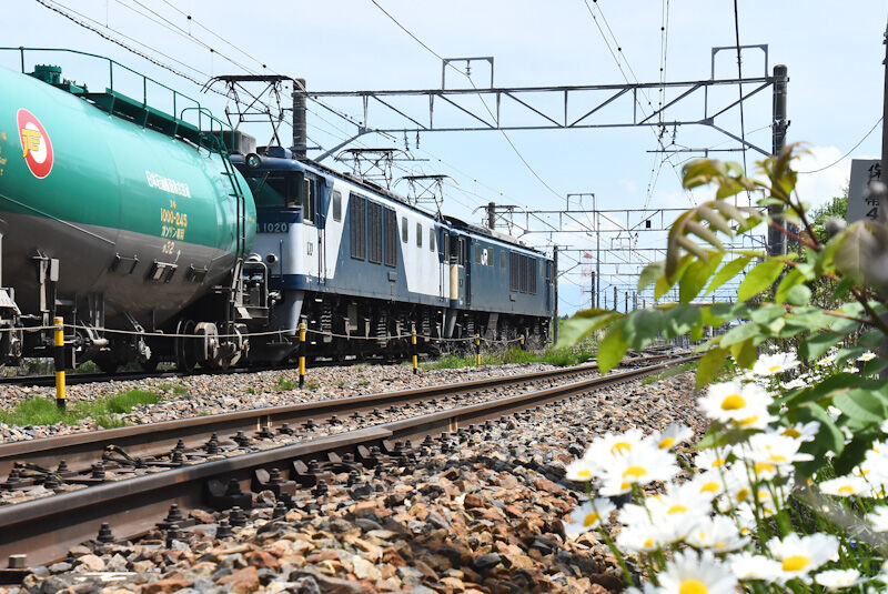 ona3のきままに撮り鉄 : 本日撮影 西線貨物 臨貨9089ﾚより その1