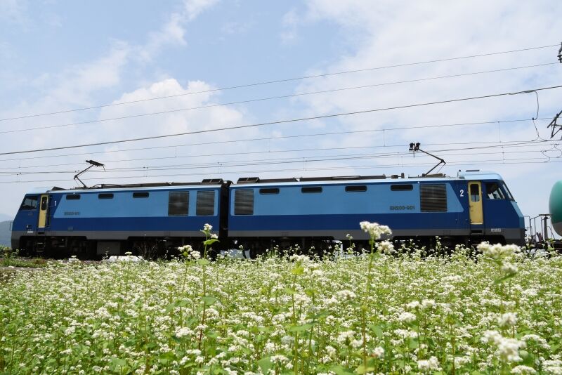 ona3のきままに撮り鉄 : 7月5日撮影 EH200-901号機 クマイチが牽く西線貨物8084ﾚより