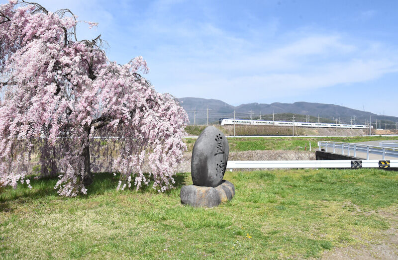 ona3のきままに撮り鉄 : 4月20日、21日撮影 みどり湖の枝垂れ桜とE353系「あずさ」より