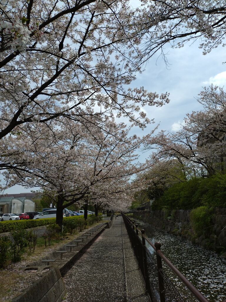 ORCHESTRA 200 ～200年の時を感じる音楽会:2024年04月