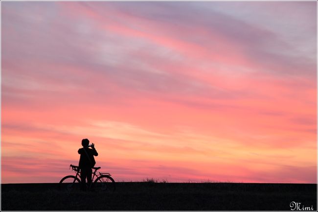 2018年11月 : 雲の上はいつも晴れ