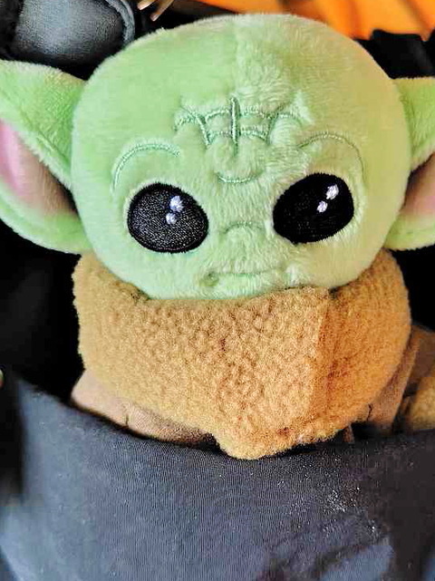 おばさんと小学生の内緒のディズニー : 祝☆DLR70周年／2日目② May the Force be with ミー