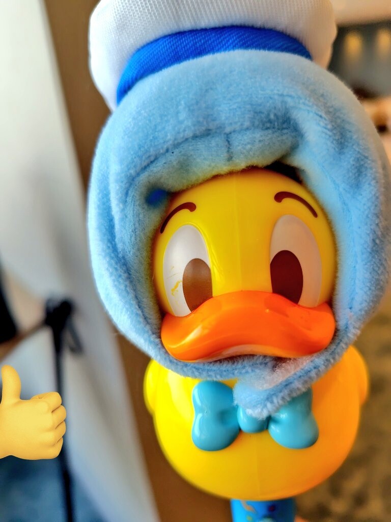 おばさんと小学生の内緒のディズニー : 祝☆DLR70周年のアナハイム行ってきた(ほんのさわり