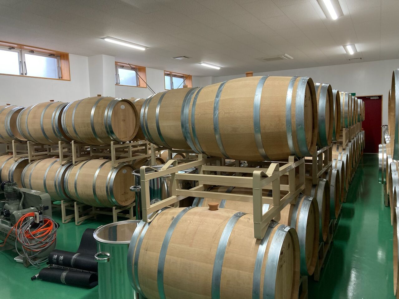 かぼちゃ太陽:ブドウ収穫ボランティア＠ドメーヌ・コーセイ