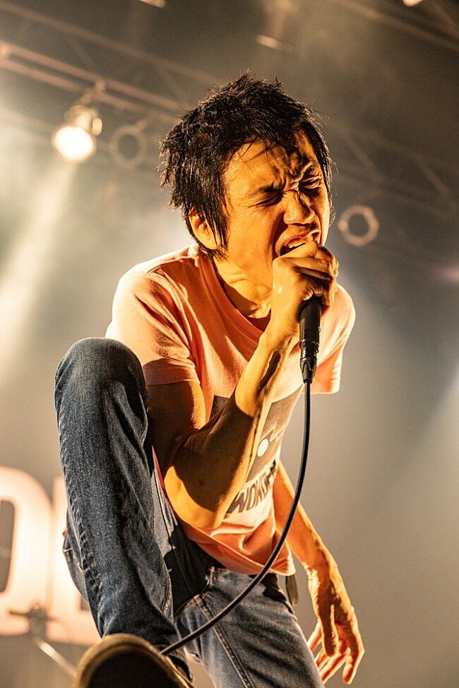 全編16ミリフィルムで収録。音も映像もこだわりだらけ！『ザ・クロマニヨンズ ツアー HEY！ WONDER 2024』DVD 2024/9 ...