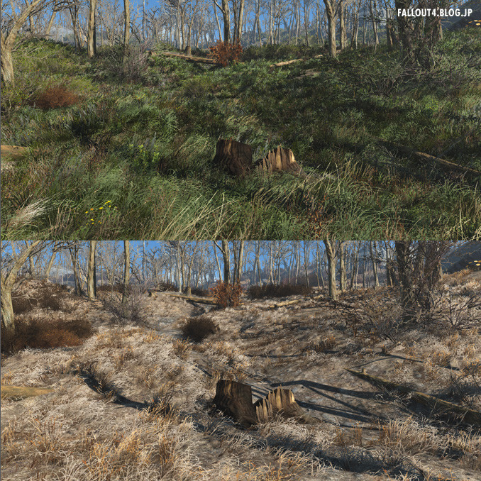 Fallout4⚡情報局：True Grass v0.3