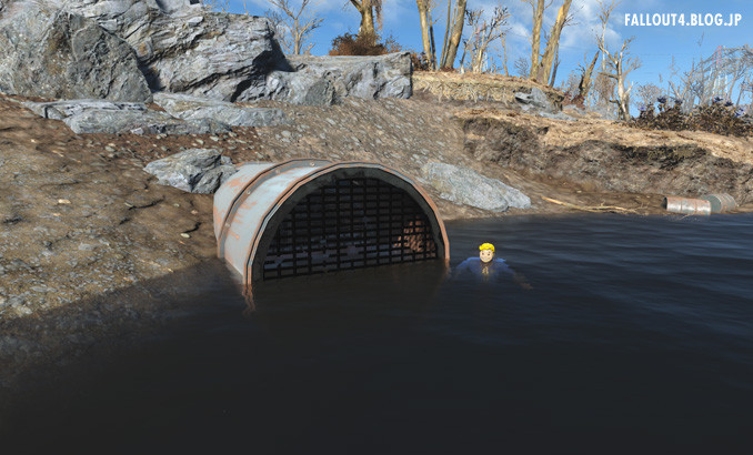 Fallout4⚡情報局：Rad Spiders