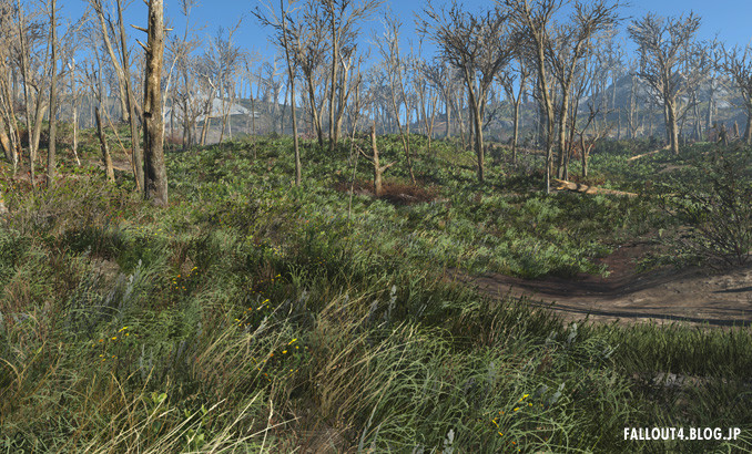 Fallout4⚡情報局：True Grass v0.3
