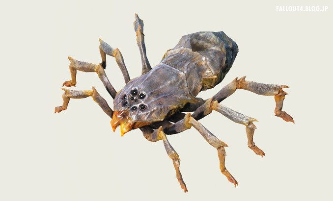 Fallout4⚡情報局：Rad Spiders